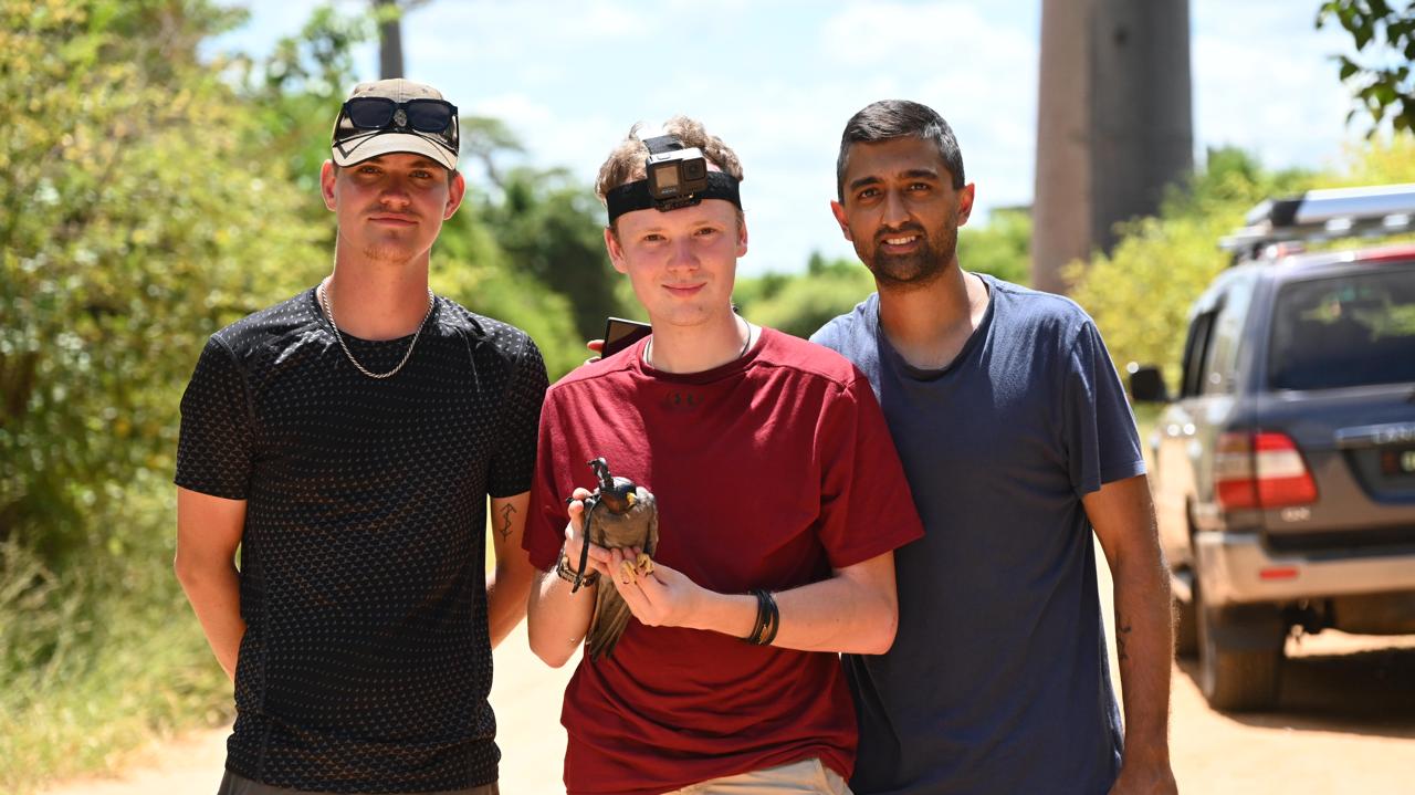 Talons Tales – Tracking the Sooty Falcon in Madagascar – MBZ Raptor ...